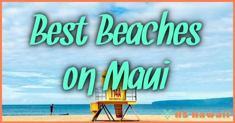 Best Beaches On Maui: A Must-Visit Guide For Sun Seekers