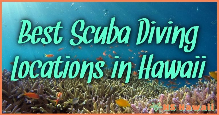Best Scuba Diving Locations In Hawaii: Your Ultimate Guide To ...