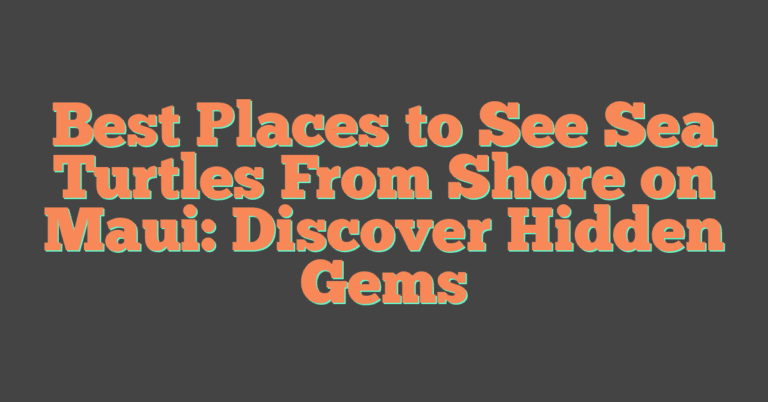 Best Places To See Sea Turtles From Shore On Maui: Discover Hidden Gems