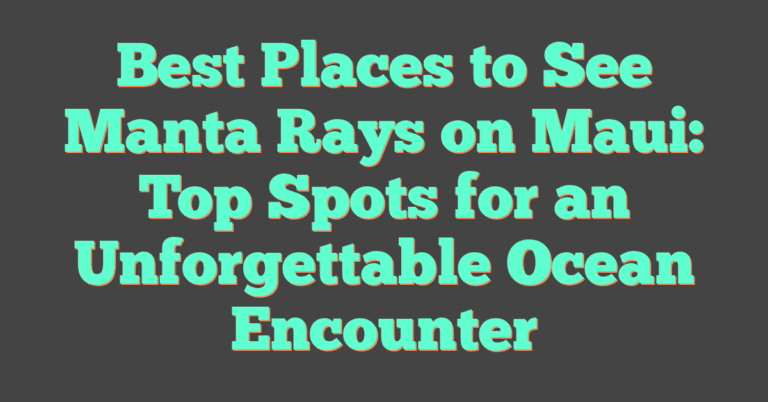 Best Places To See Manta Rays On Maui: Top Spots For An Unforgettable ...
