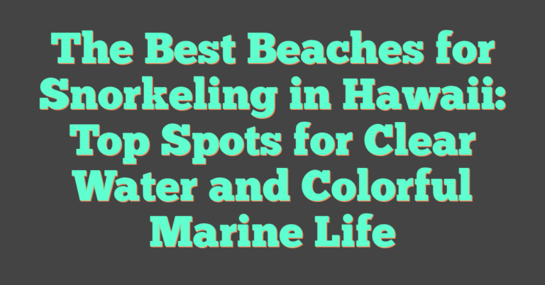 The Best Beaches For Snorkeling In Hawaii: Top Spots For Clear Water ...